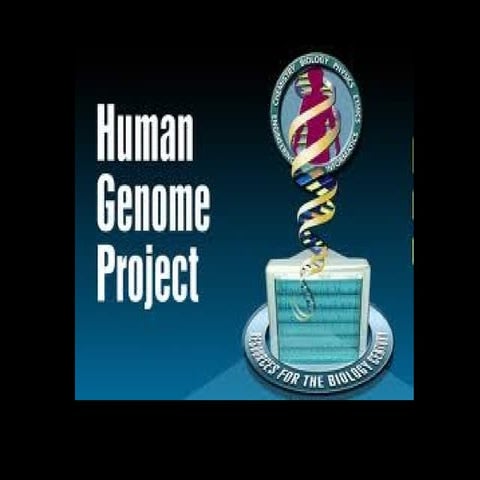 HUMAN GENOME PROJECT Class XII Biology.pptx
