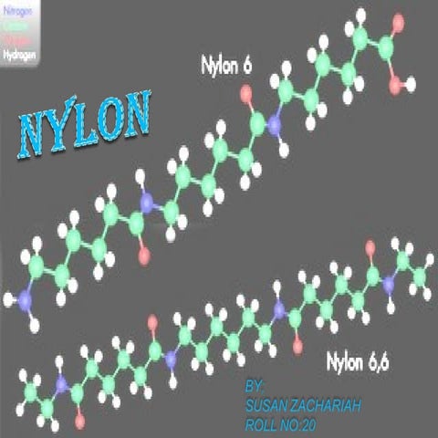 NYLON | PPT