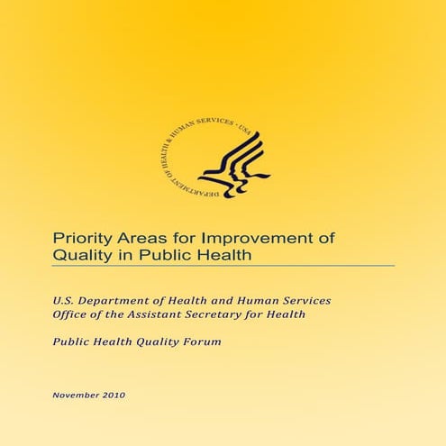 HHS Priority Areas For Improvement Of Quality In Public Health 2010 | PDF