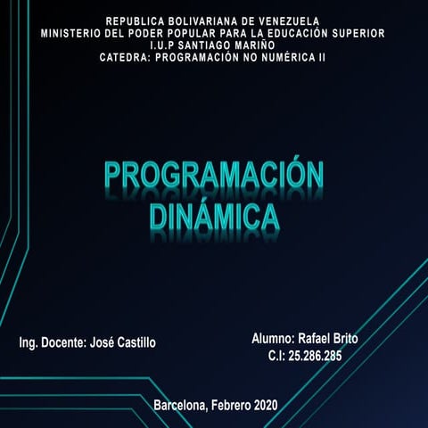 Programación Dinamica | PPTX | Programming Languages | Computing