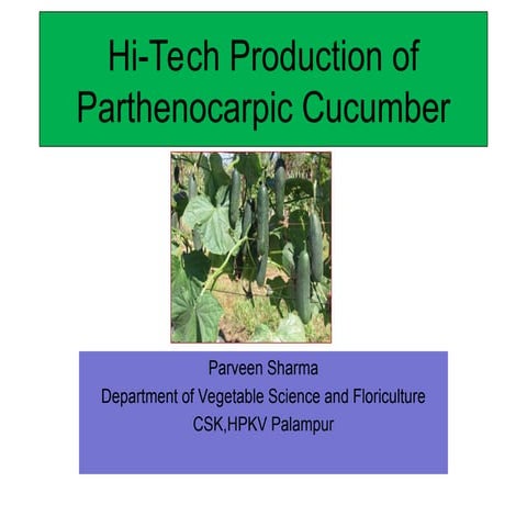 Production technology of Cucumber | PPTX