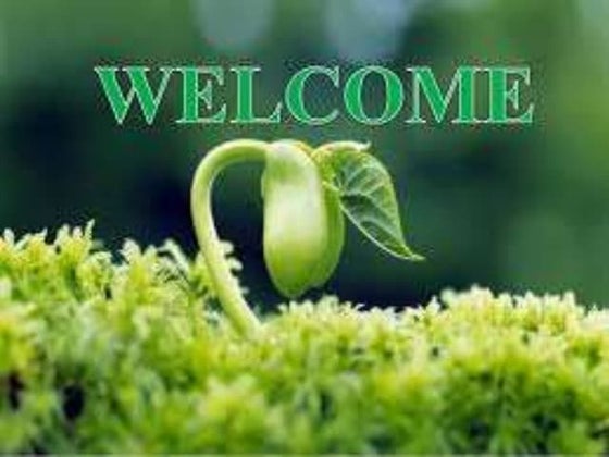 Off season vegetable production | PPT