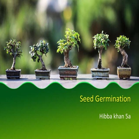 seed germination ppt | PPTX | Gardening | Home & Garden