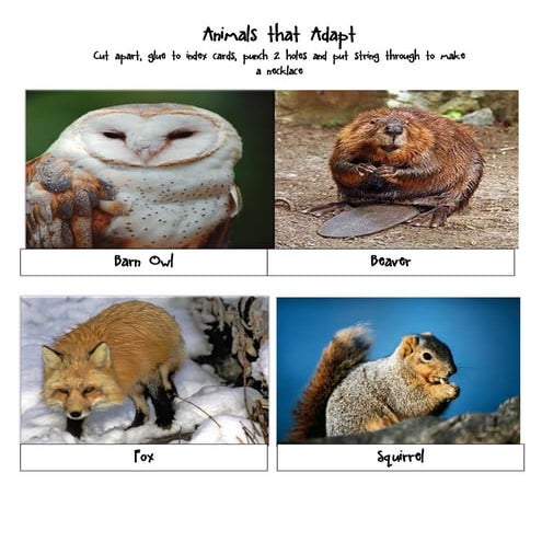 Hibernate adaptmigrategame | PDF