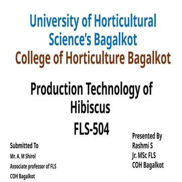 Hibiscus cultivation and production .pptx