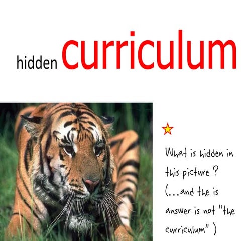 Hidden Curriculum | PDF