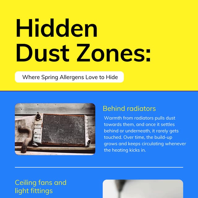 Hidden Dust Zones Where Spring Allergens Love to Hide.pdf