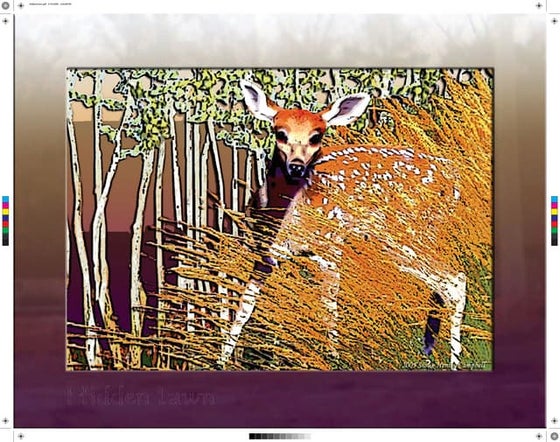 10 Xxx Who Flyer Temp Silent Mech Out | PPT