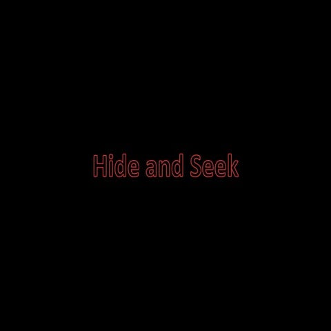 Hide And Seek | PPT