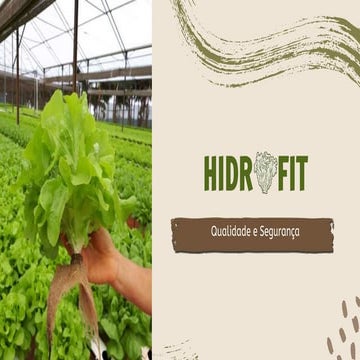 HIDROFIT hidroponia de alface ,cultivo e comercialização | PPT