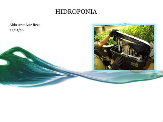 L 20 Hechts Elevations 2 | PPT