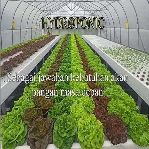 belajar mengenal hidroponik bagi pemulaa | PPTX