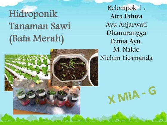 Teknik Hidroponik abigail hosana | PPT
