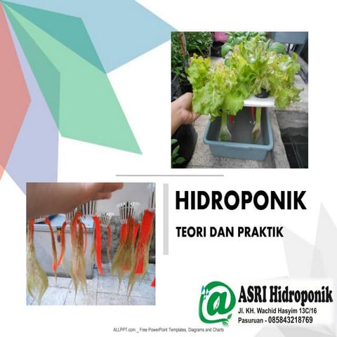 Hidroponik Pemula -1 | PDF