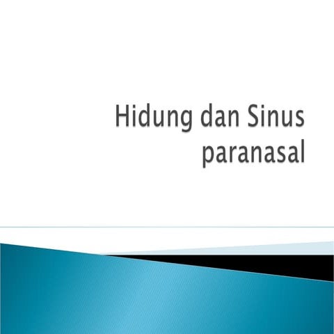 Anatomi hidung | PPT