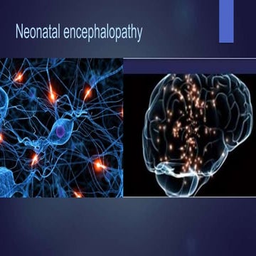 Hypoxic Ischemic Encephalopathy | PPTX