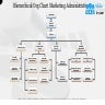 Hierarchical Org Chart Marketing Administrative Customer Service | PDF