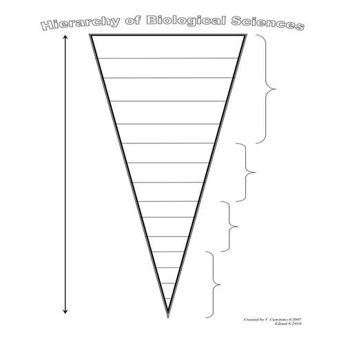 Hierarchy of biological sciences | DOCX