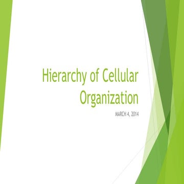 Hierarchy Of Cell Organization 2.3 A Cell Is The Smallest Unit Of Life