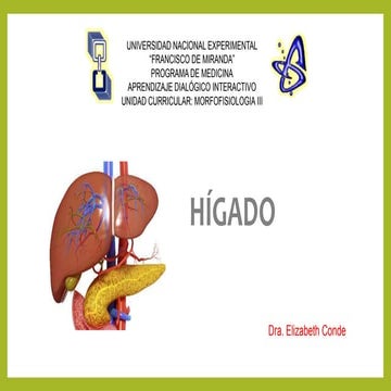FUNCIONES DEL HÍGADO | PPTX
