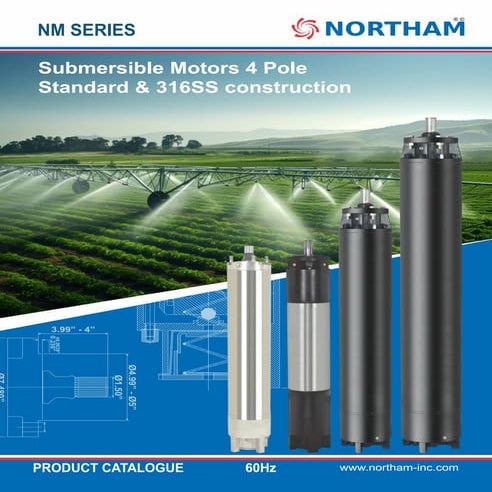 High-Performance Submersible Motors 4 Pole Standard & 316SS | Northam ...