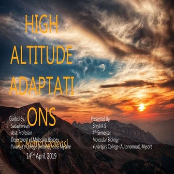 High Altitude Adaptations | PPTX