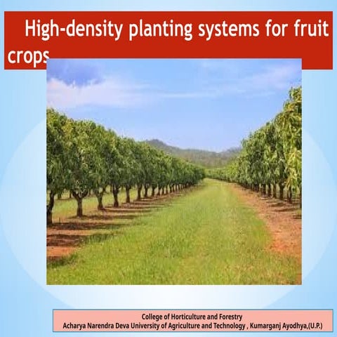 High Density Planting in Fruit Crops | PPTX