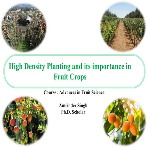 High Density Planting in Fruit Crops | PPTX