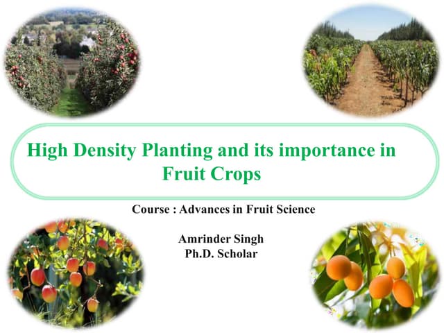 High density planting (HDP) | PPTX