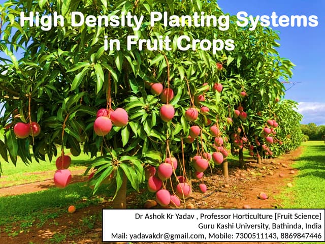 System of planting and types | PPTX