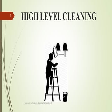 High level cleaning | PDF