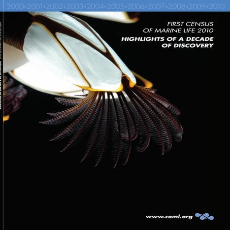 Detailed research on design of aquarium and case studies | PPTX