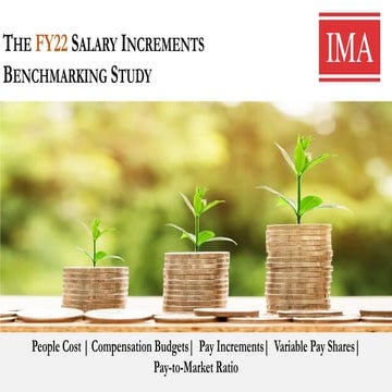 Salary benchmarking.pdf