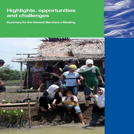 Highlights, opportunities and challenges | PDF