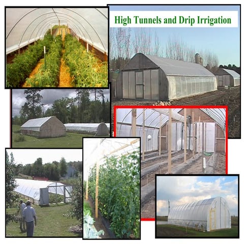 High Tunnels and Drip Irrigation 2012 | PPT