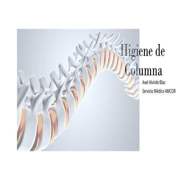 Higiene de Columna- Manejo de cargas.pptx