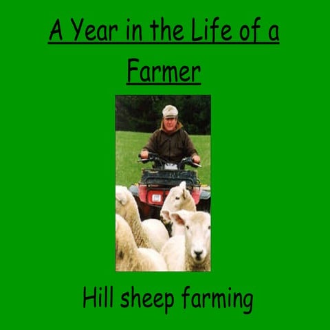 Hill Sheep Farming Year | PPT