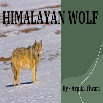 HIMALAYAN WOLF.pdf