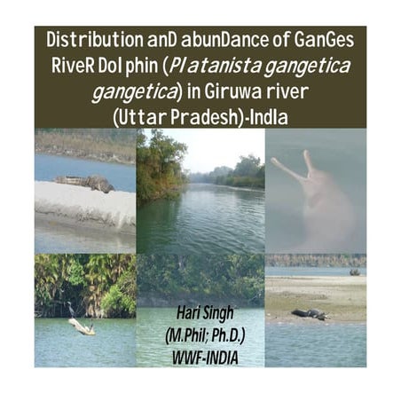 Conservation of Ganges River Dolphin in Giruwa River, India ppt | PPT
