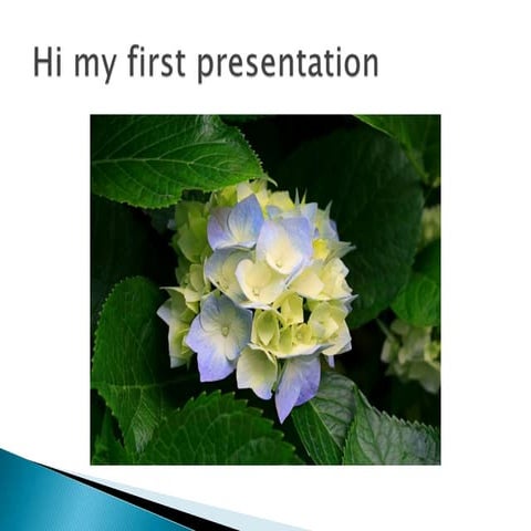 Hi my first presentation | PPTX