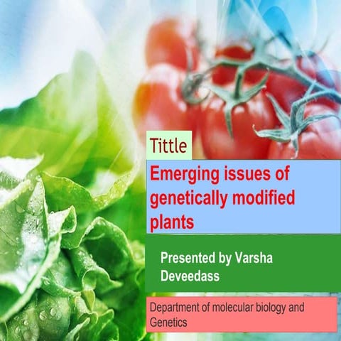Genetically Modified Plants ppt | PPTX