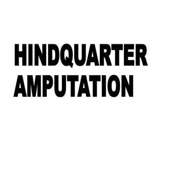 Hindquarter amputation in orthopaedics of humans | PPTX