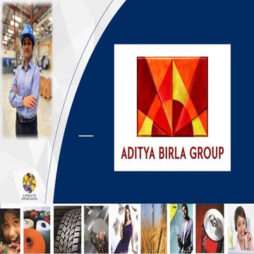 Hindalco PPT v (Introduction).pptx