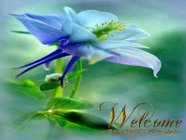 Hindi presentation on ras | PPTX