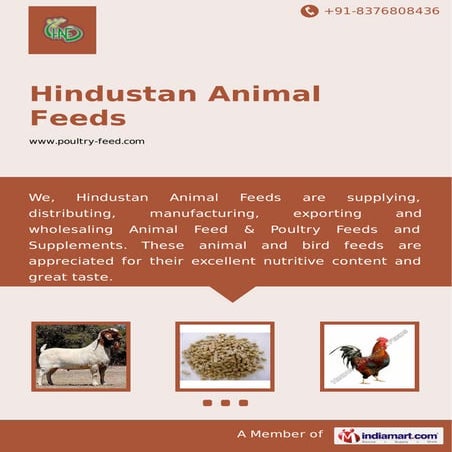 Hindustan animal-feeds | PDF