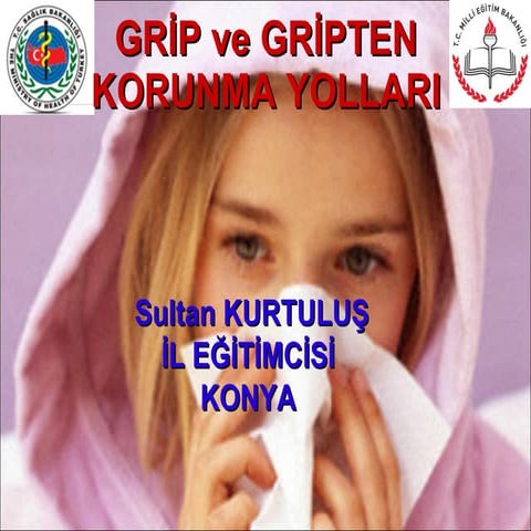 Domuz Gribi | PPT