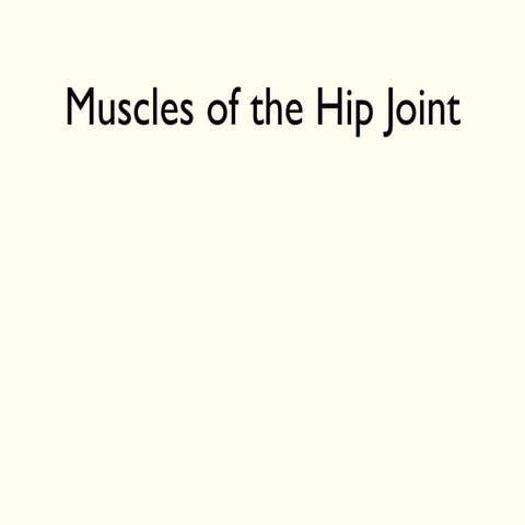 Hip-muscles.pdf BY : HARSHIT VERMA | PDF