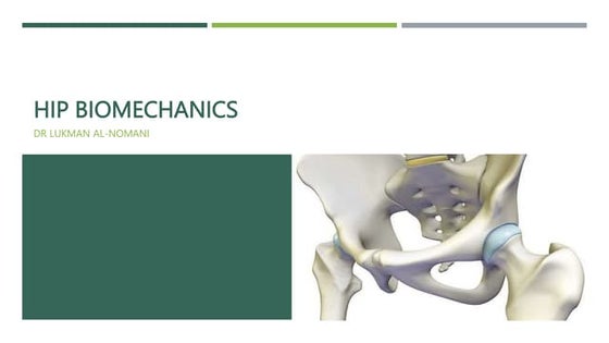 Bio-mechanics of the hip joint | PPT