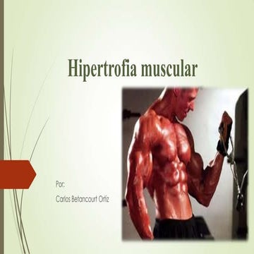 Hipertrofia muscular | PPTX
