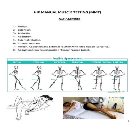 Hip Flex Ext Abd Manual Muscle Testing Pdf